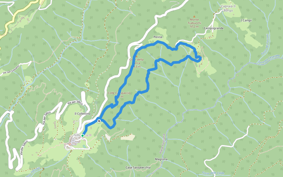 Path of the Hermitage Hiking Trail - Sillico, Toscana | Pacer