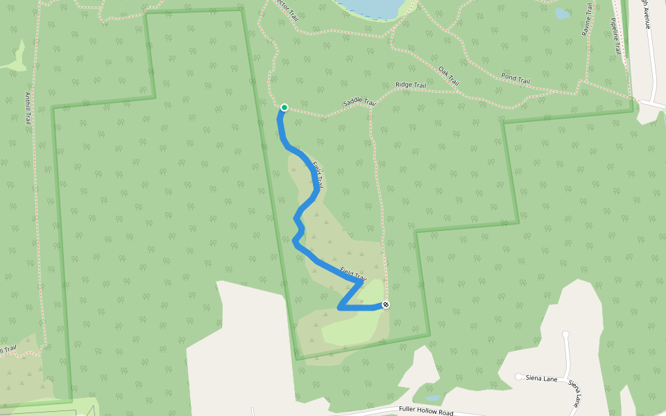 Field Trail Hiking - Vestal, New York | Pacer