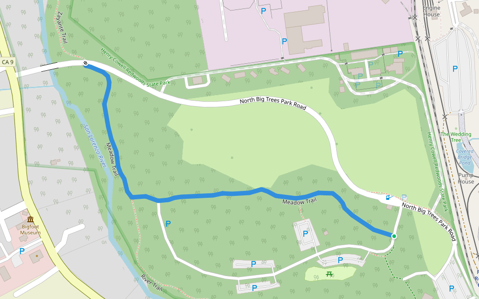 Meadow Trail Walking and Running - Felton, California | Pacer