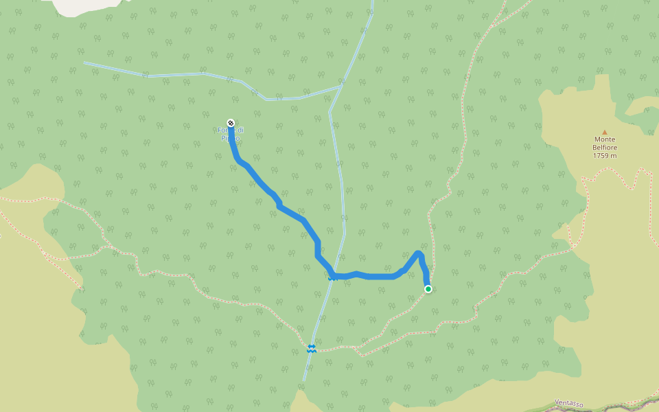 Goofy Fountain | Walking Map