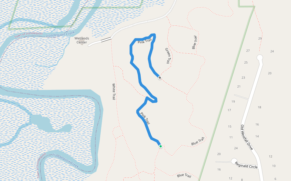 Pink Trail Walking and Running - Rochester, New York | Pacer