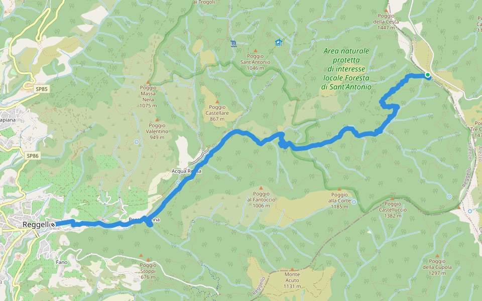 Ancient Reggello road Walking and Running - Toscana | Pacer