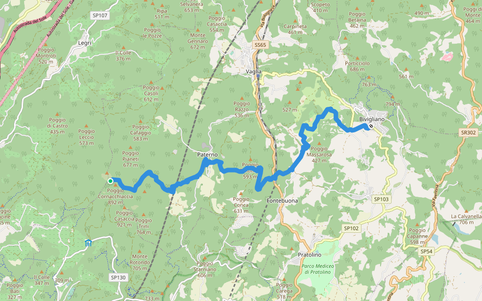 The Path of the Peaks - 61 - Municipality of Vaglia | Walking Map