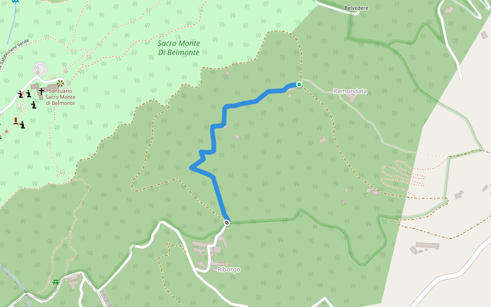 The Royal Fern Nature Trail Walking and Running - Piemonte | Pacer