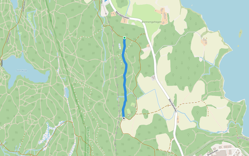 Abandoned blue marked Nordmarka trails Walking and Running - Oslo | Pacer