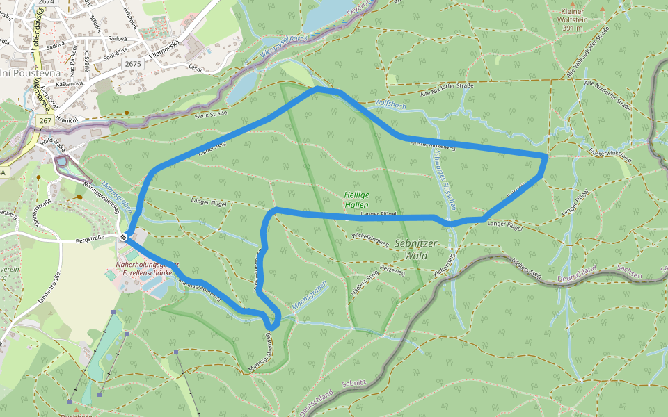 Green point, Sebnitz Forest Hiking Trail - Sachsen | Pacer