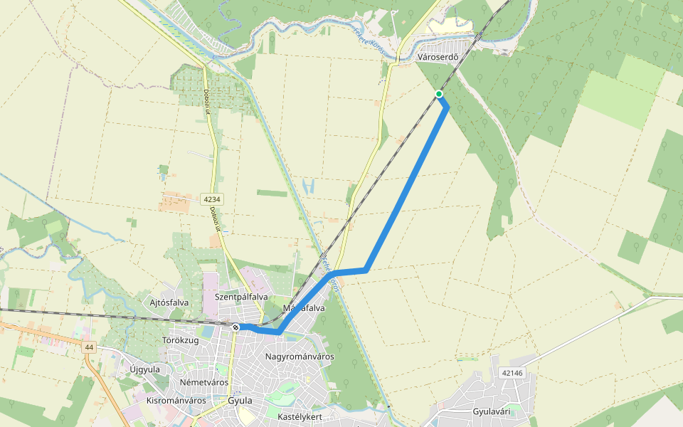 Z (Gyula – Bánom – City Forest) in Békés County | Walking Map