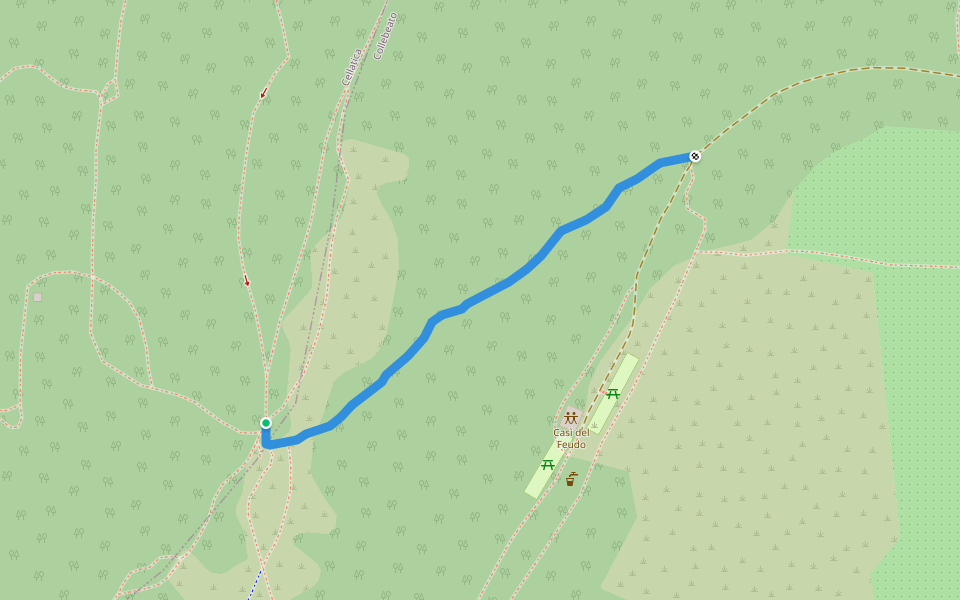 Path 955 - Variation 955B | Walking Map