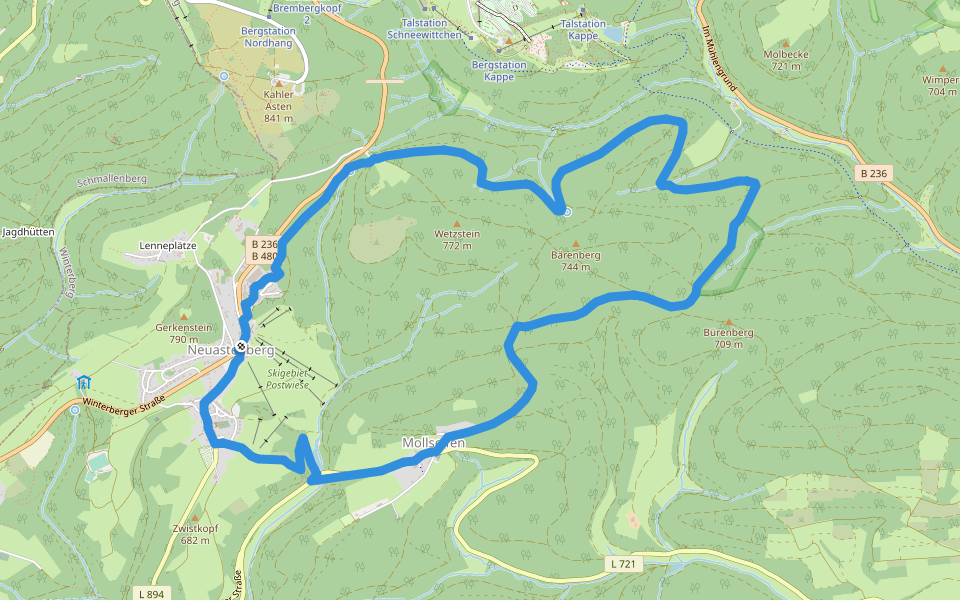 Neuastenberg circular route N4 Bärenbergweg Hiking Trail - Winterberg ...