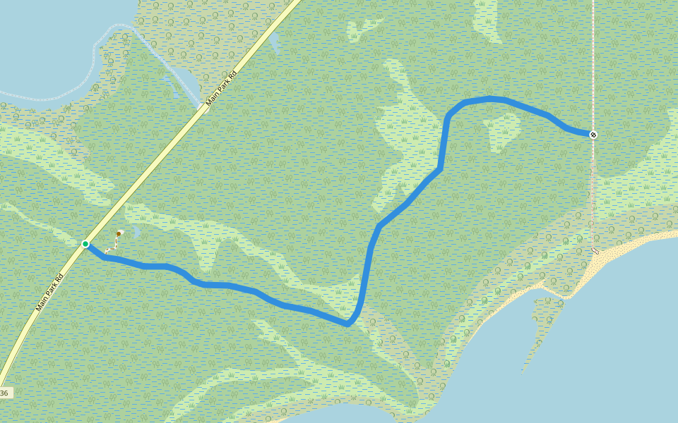 Rowdy Bend Trail Hiking - Homestead, Florida | Pacer