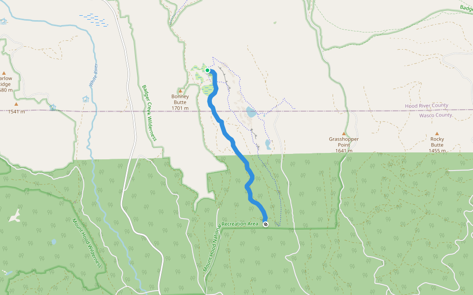 Hidden Meadows Trail Hiking - Mount Hood, Oregon | Pacer