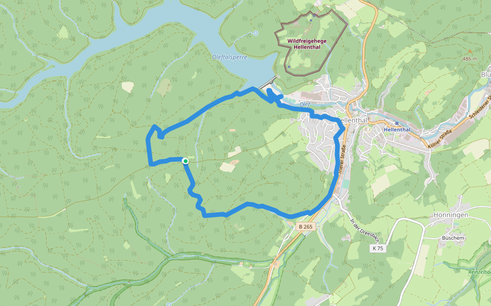 Eifel loop 3 oaks Hiking Trail - Hellenthal, Nordrhein-Westfalen | Pacer