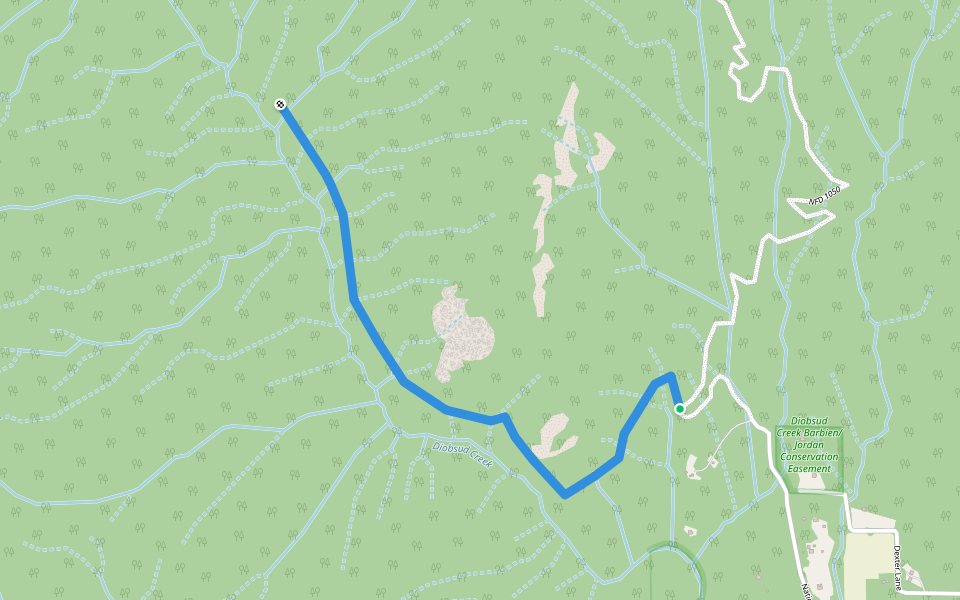 Diobsud Creek Trail Hiking - Marblemount, Washington | Pacer