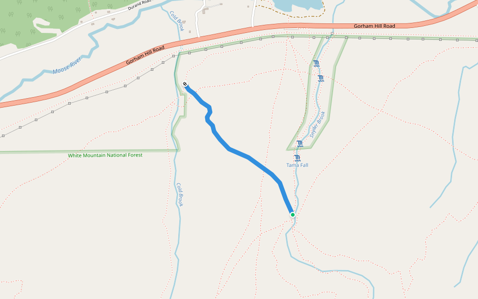 Beechwood Way Walking And Running Trail - Randolph, New Hampshire | Pacer