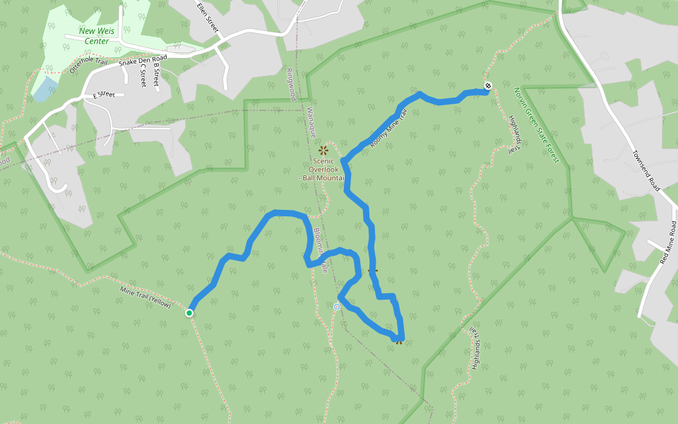 Roomy Mine Trail Walking and Running | Pacer