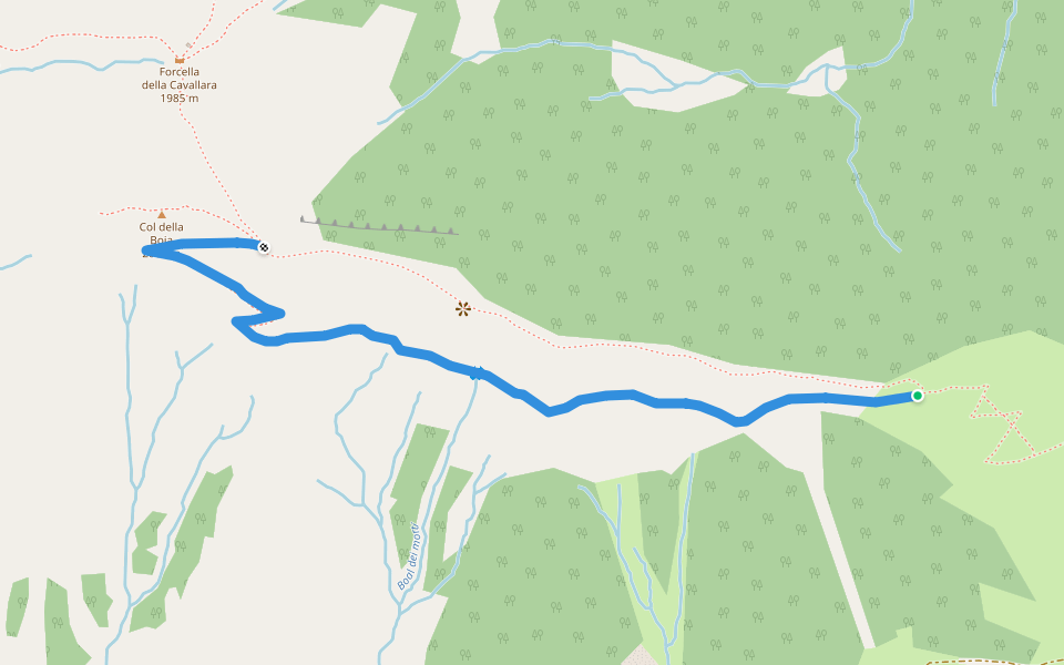 Trode of flowers low Hiking Trail - Trentino-Alto Adige | Pacer