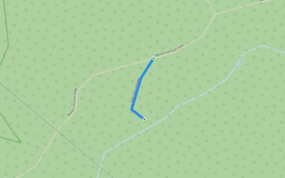 Yellow side trail Walking and Running - Schenectady, New York | Pacer