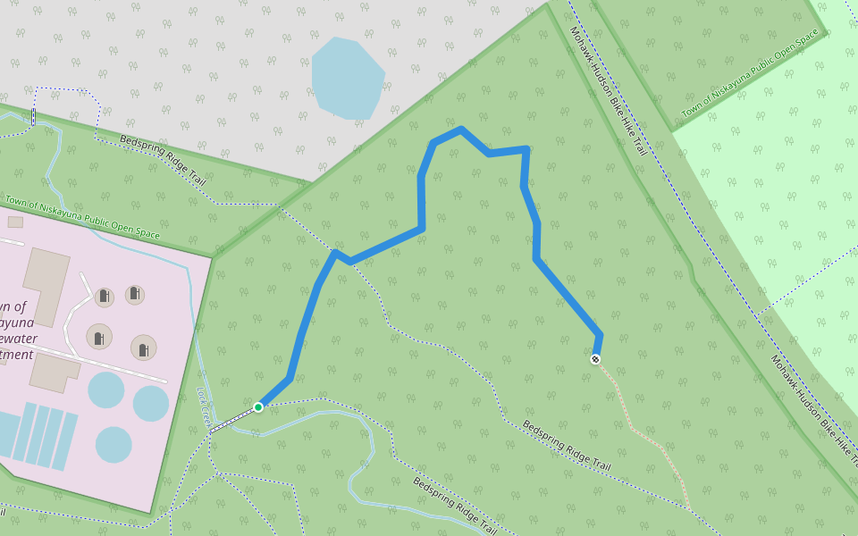 Yellow Trail Walking and Running - Schenectady, New York | Pacer