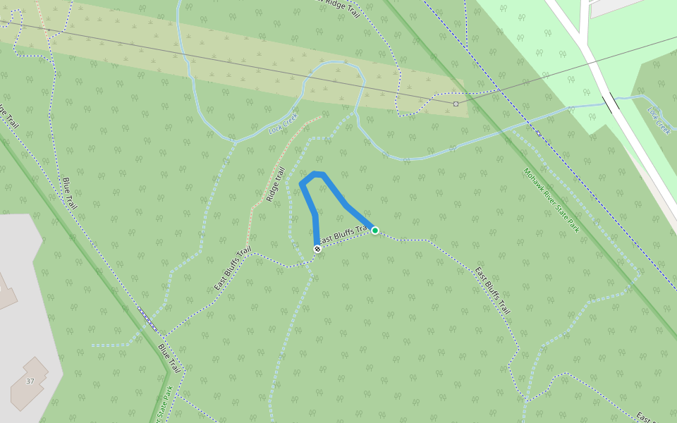 Yellow Trail in New York | Walking Map