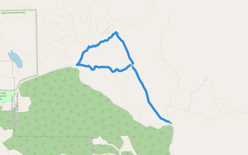 Black Water Trail Hiking - Powell River, British Columbia | Pacer