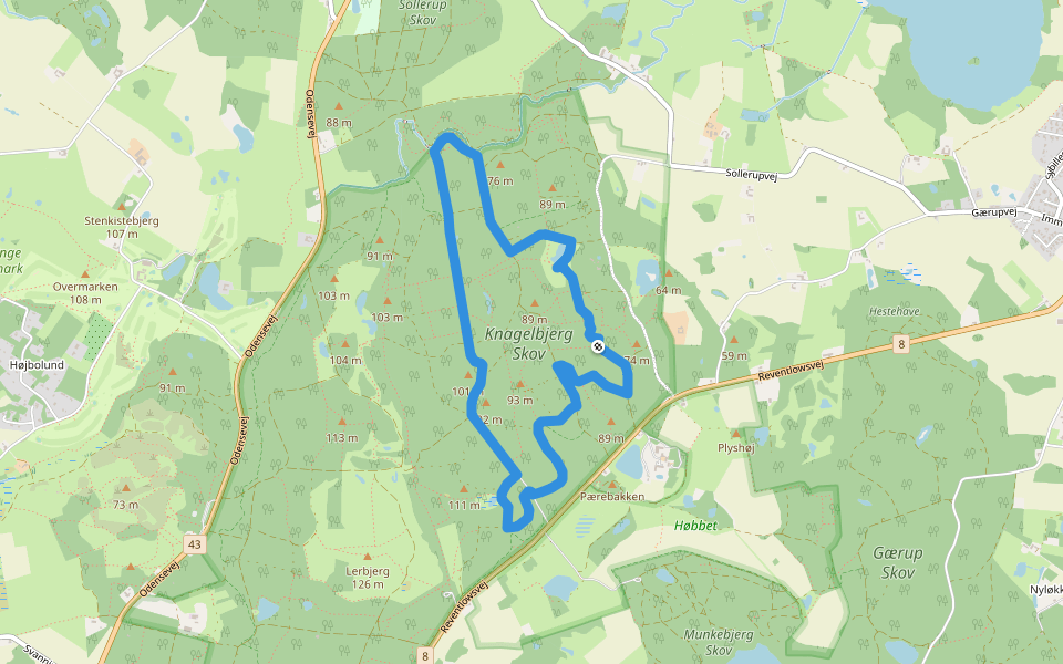Yellow Route in Region of Southern Denmark | Walking Map