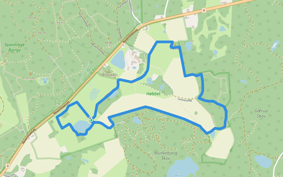 Pink route in Region of Southern Denmark | Walking Map