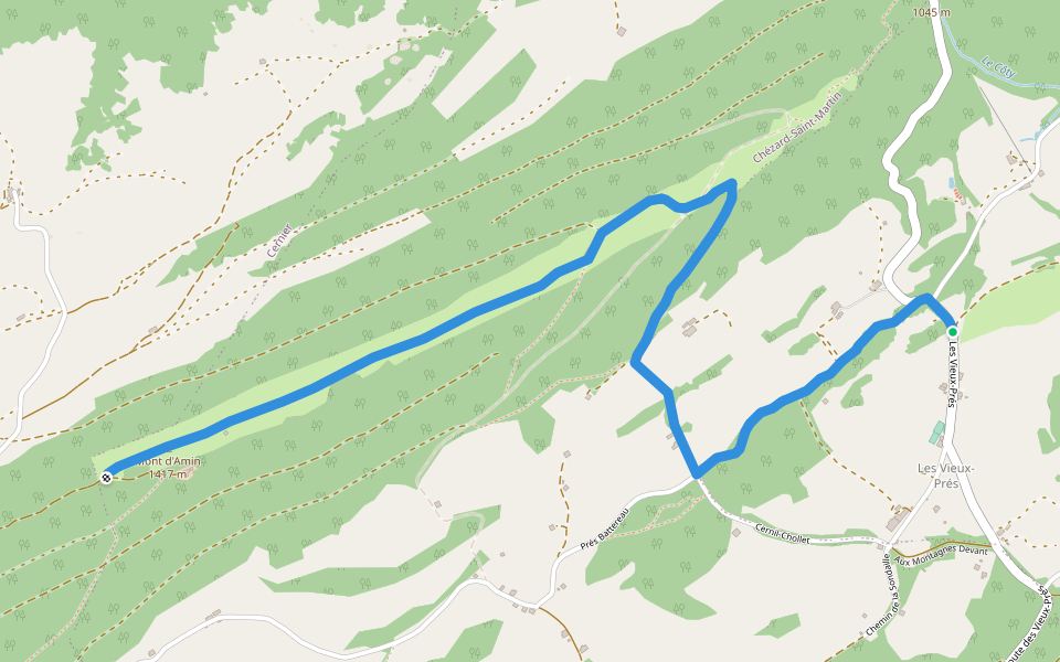 White Grass - Mont d'Amin Hiking Trail - Val-de-Ruz, Neuchâtel | Pacer