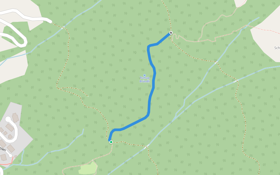 Geisswald - Herrenwald Hiking Trail - Walchwil, Zug | Pacer