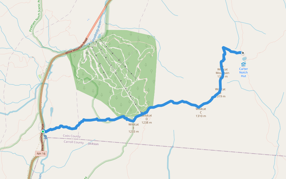 Wildcat Ridge Trail Hiking - Jackson, New Hampshire | Pacer