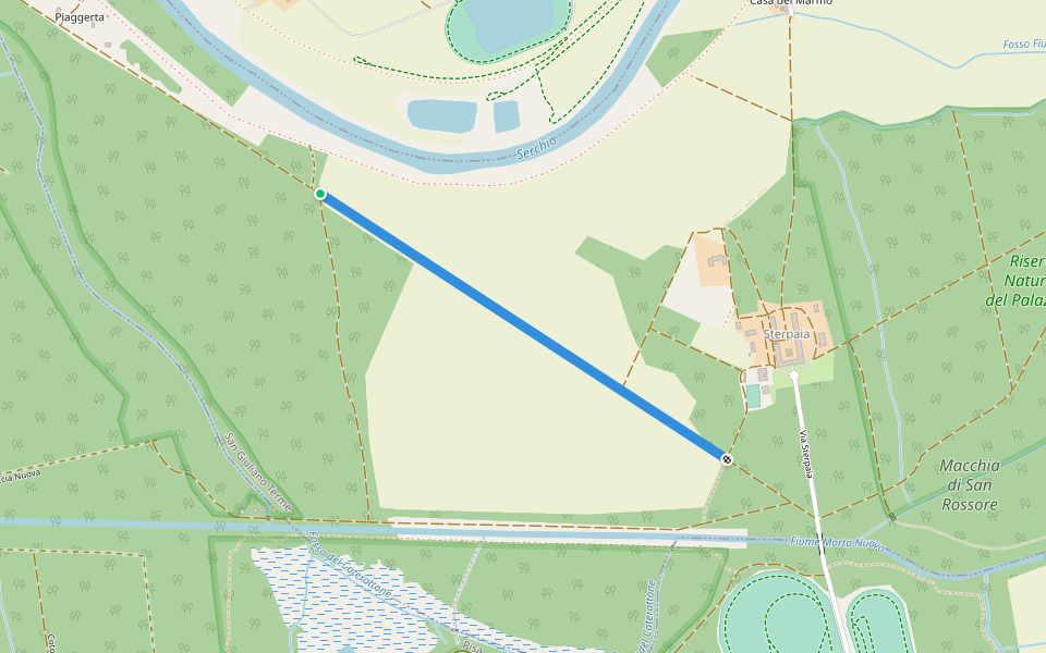 Stradone of Torre Ricciardi Walking And Running Trail - Toscana | Pacer