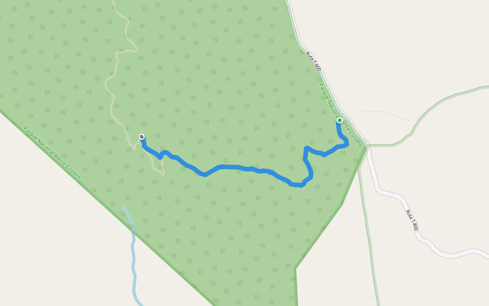 Millennial Larch Trail Walking and Running - Los Ríos | Pacer