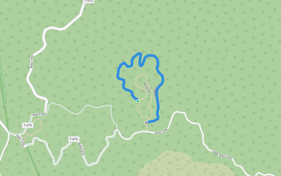 The Melies Hiking Trail - Los Ríos | Pacer