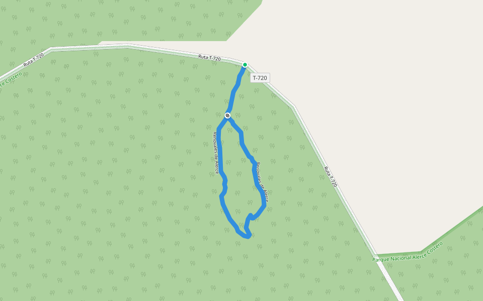 Larch saplings | Walking Map