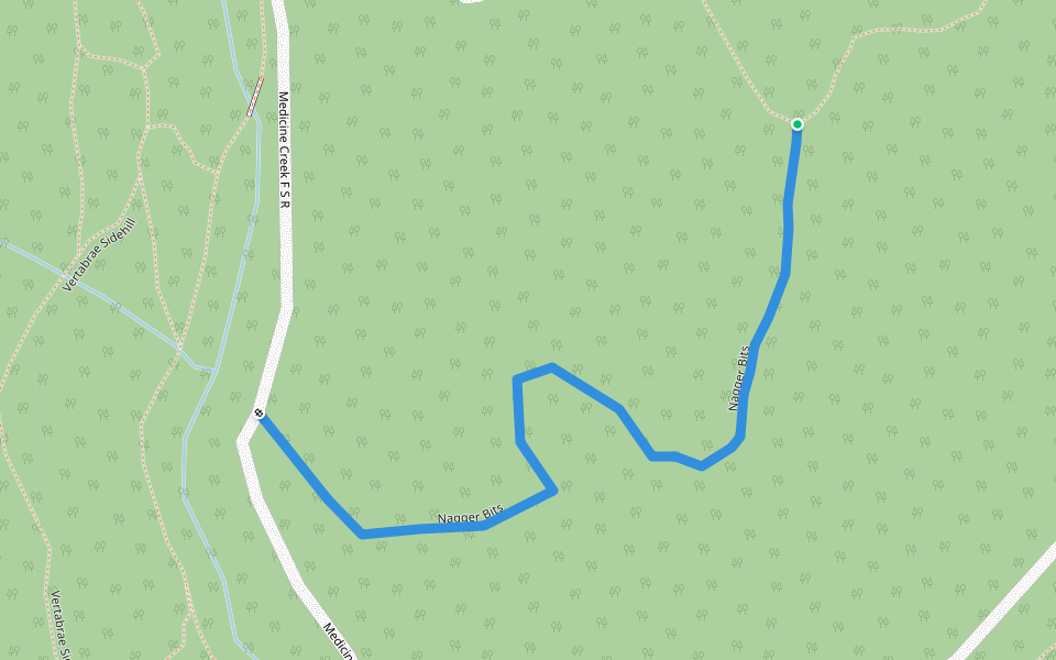 Nagger Bits in British Columbia | Walking Map