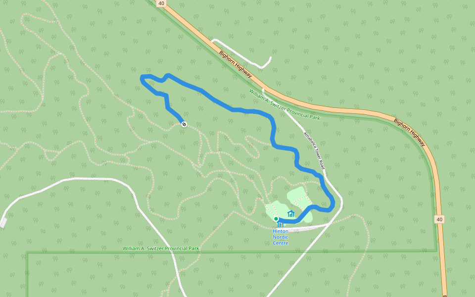 Boogie Hiking Trail - Hinton, Alberta | Pacer