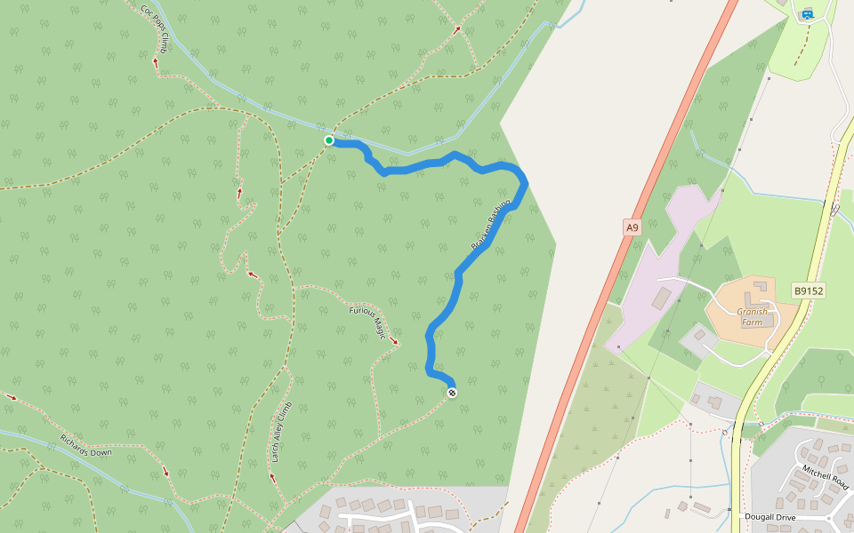 Bracken Bashing Hiking Trail - Scotland | Pacer