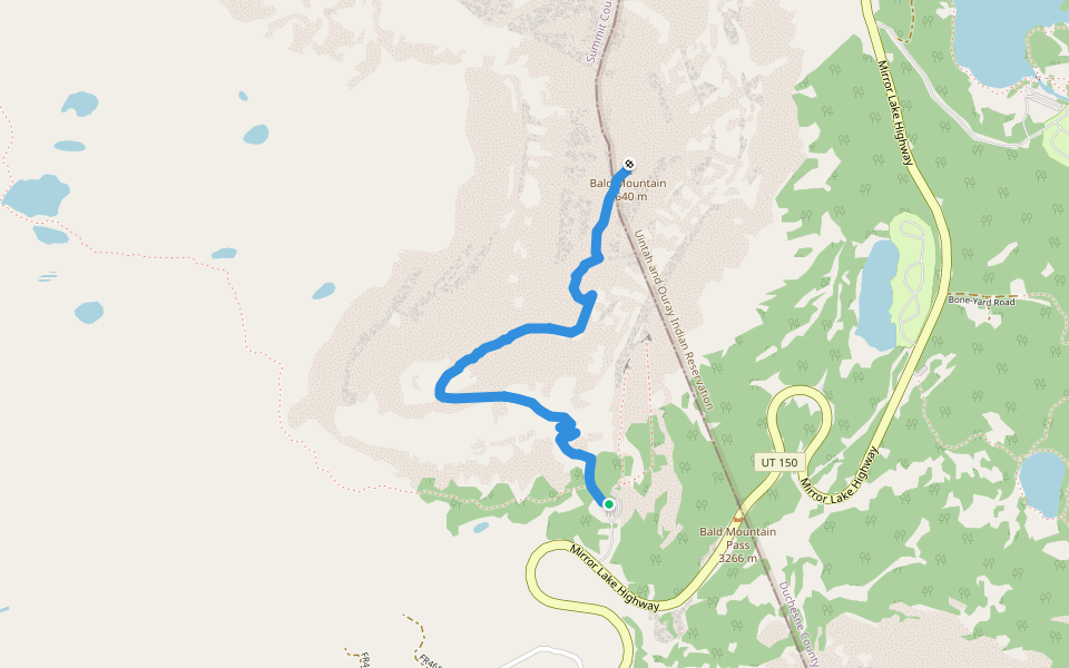 Bald Mountain Trail 202 Hiking - Kamas, Utah | Pacer