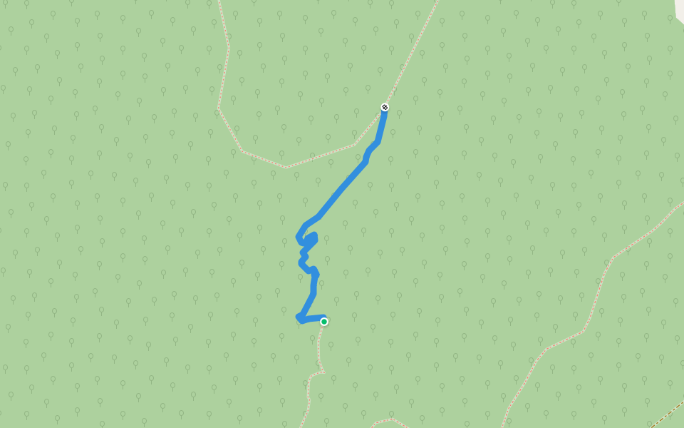 Temporary Walking And Running Trail - Lazio | Pacer