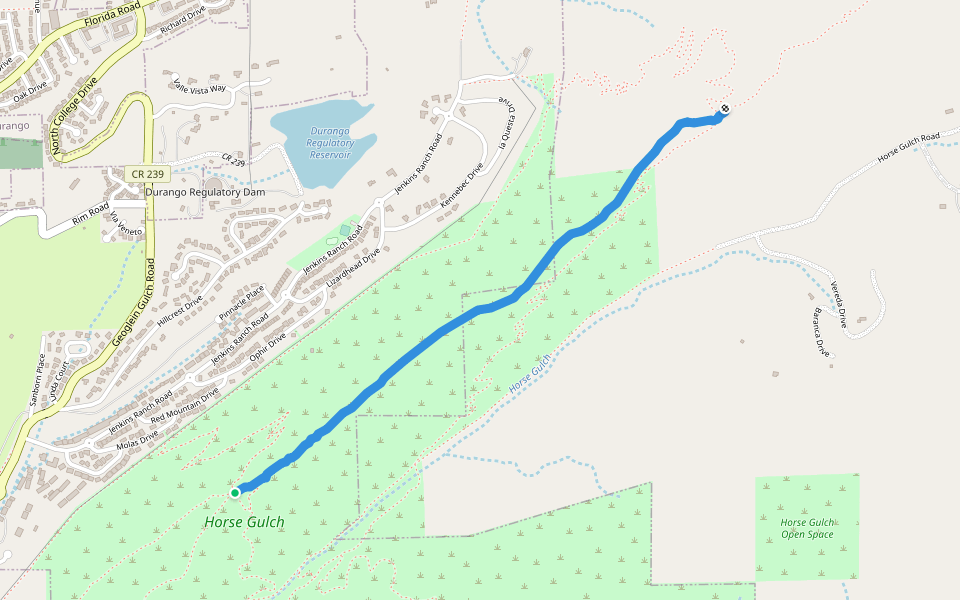 Hyper-Extended Ridge Trail Hiking - Durango, Colorado | Pacer