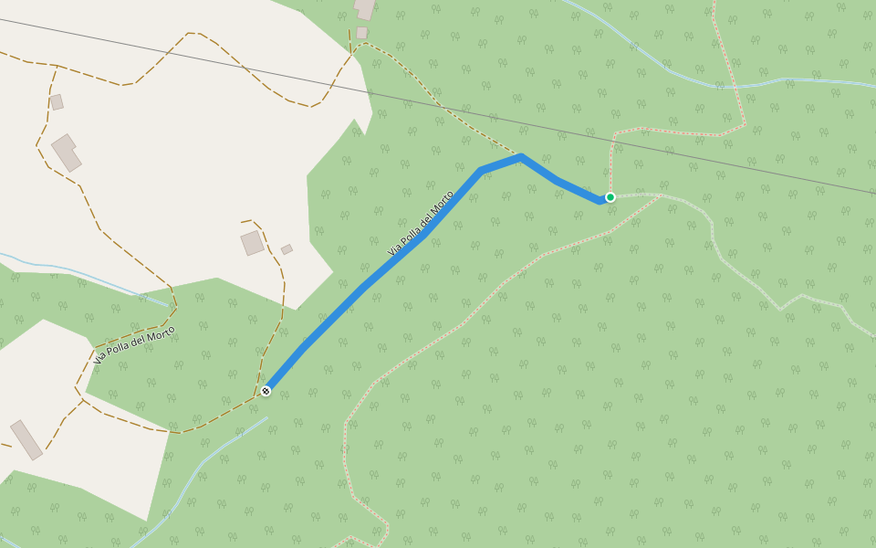 Via Polla del Morto Walking And Running Trail - Toscana | Pacer