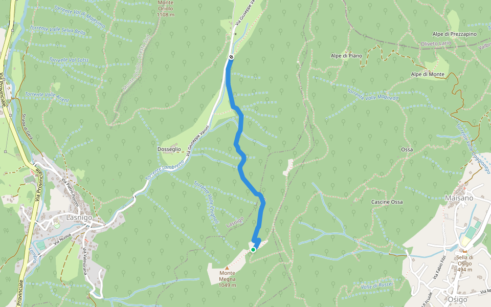 Piana di Crezzo path -> Monte Megna | Walking Map