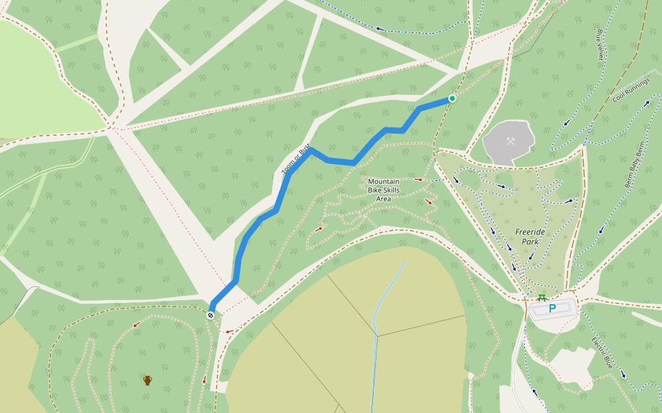 Zoom or Bust Walking And Running Trail - Scotland | Pacer