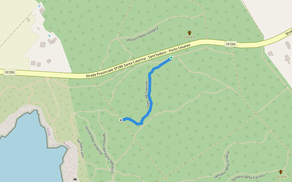 Jumping Path Walking And Running Trail - Puglia | Pacer