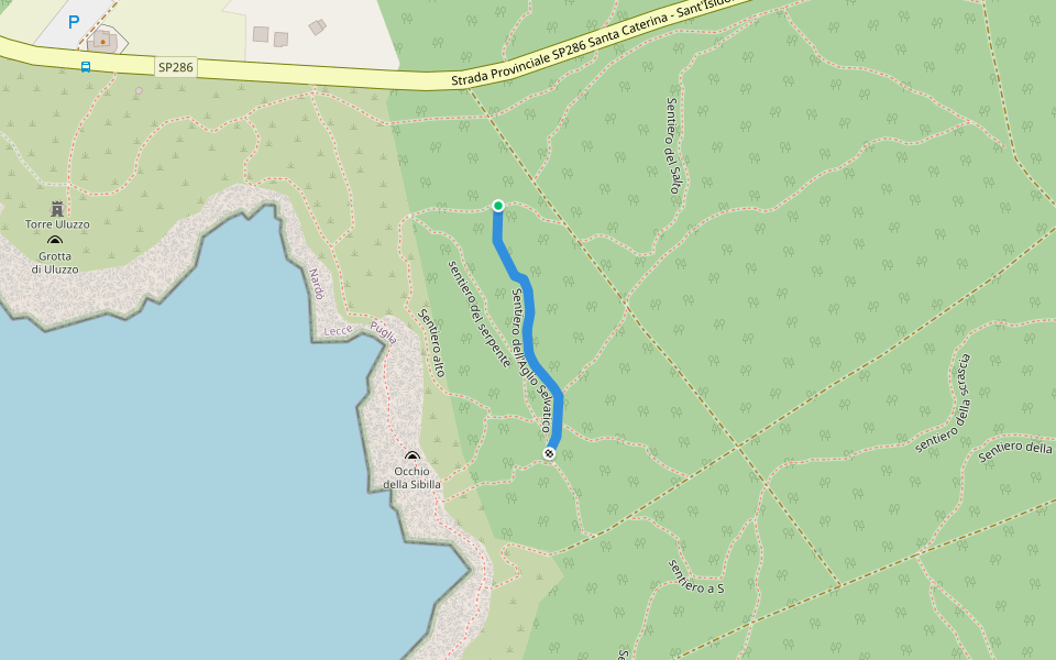 Wild Garlic Trail Walking and Running - Puglia | Pacer