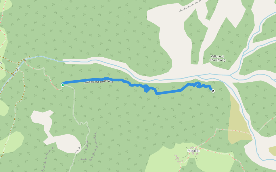 Black Forest Path Hiking Trail - Valle d'Aosta | Pacer