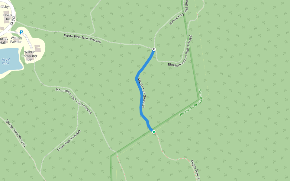 Maple Trail (Private) Walking and Running - Newport, Virginia | Pacer