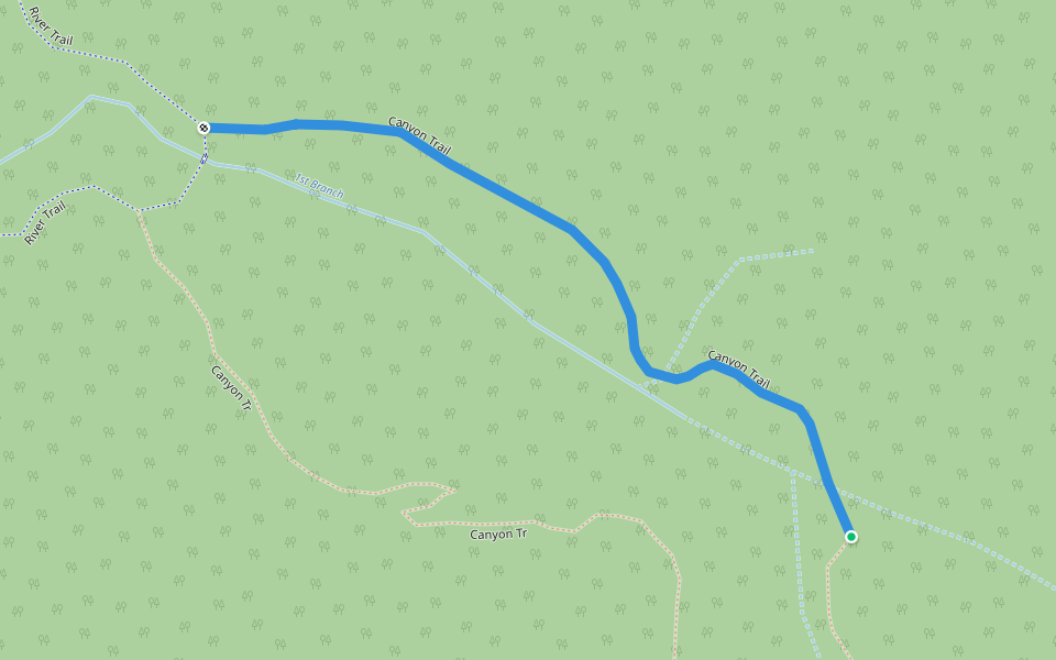 Canyon Trail Walking and Running - Monticello, Georgia | Pacer