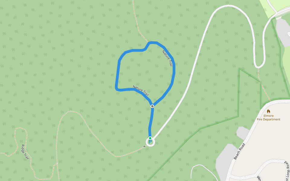 Nature Trail Walking and Running - Elmore, Vermont | Pacer