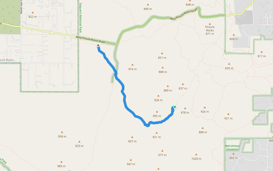 Prophecy Wash Trail Hiking - Tucson, Arizona | Pacer