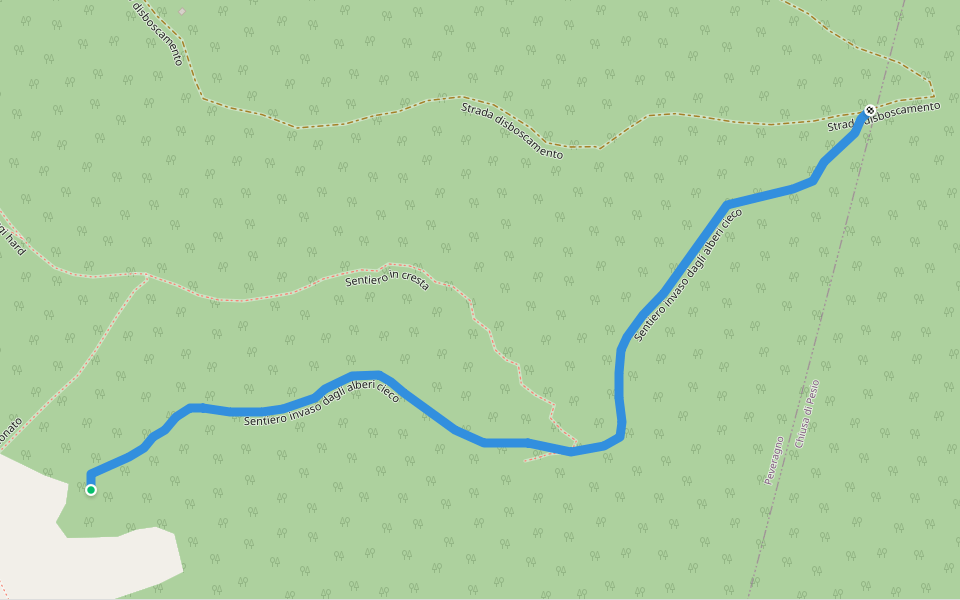 Blind path overgrown with trees | Walking Map